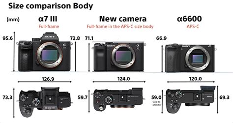 First Look Sony α7c Photo Review