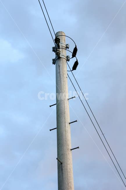 전봇대 전신주 전기 전류 송전탑 사진 이미지 일러스트 캘리그라피 Binimin작가