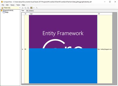 Entity Framework Core Provider Truncates Image Length Issue ErikEJ EntityFramework