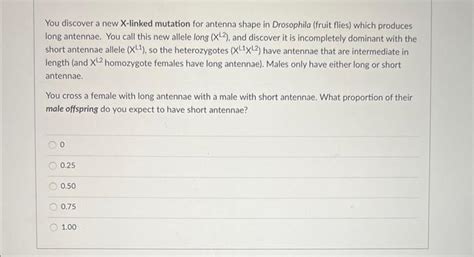 Solved You Discover A New X Linked Mutation For Antenna