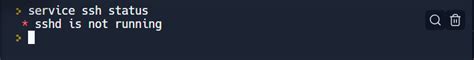 Terminal Does Replit Uses Ssh Stack Overflow