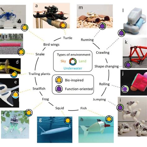 integrated soft robots classified according to their type of design