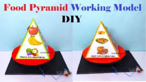 Food Pyramid Working Model Science Project For Science Exhibition Diy Simple Howtofunda