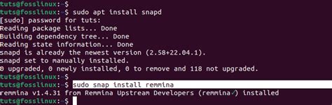 Your Guide To Installing And Using Remmina On Ubuntu
