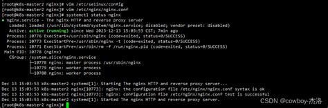 Nginx upstream绑定端口失败nginx: [emerg] bind() to 0.0.0.0:6445 failed (13: Permission denied)_nginx ...