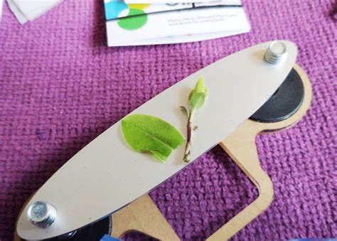 Blips New Labkit 2 Review Macro Microscopic Phone Lenses Gadget