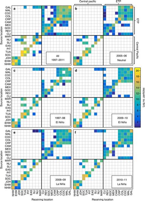 Potential Connectivity Matrices Connectivity Matrices Showing The Download Scientific Diagram