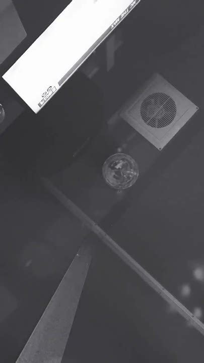 창백한 파란 공책 Youtube