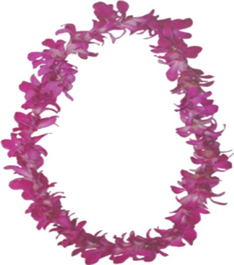 Flower Lei Png Flower Necklace Hawaiian Lei Png Clipart Full Size