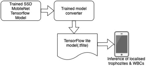 Mobile Aware Deep Learning Algorithms For Malaria Parasites And White