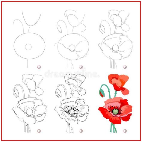 How To Draw Poppy Step By Step Drawing Guide By Dawn Artofit