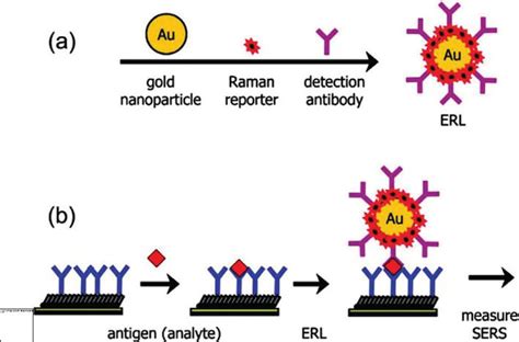 Application Of Plasmonic Nanostructures In Molecular Diagnostics And