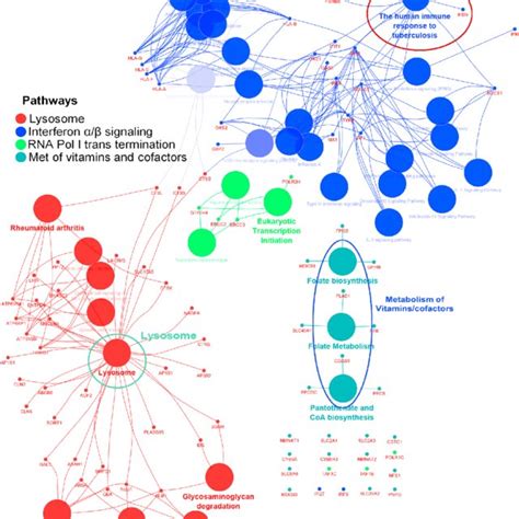 HHcy Altered Network Derived From The Inversely Correlated SDE Download Scientific Diagram