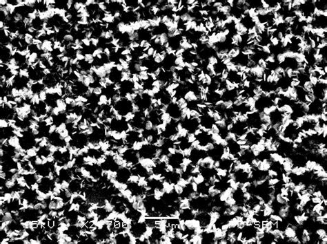 Preparation Method Of Porous Array Zno Tio2 Composite Photocatalyst