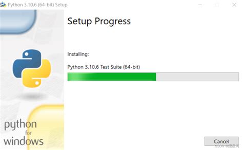 安装python（最详细方案） customize installation csdn博客