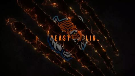 Create Custom Logo Animation Intro And Outro D By Squad Studio Fiverr