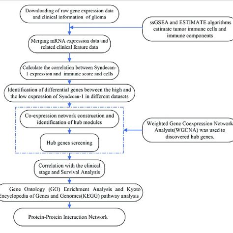 Flow Chart Describing The Workflow From Collection And Preparation Of Download Scientific