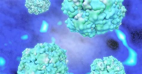 Aafp Updates Psa Screening Guidelines 2 Months After Uspstf Issues Final Recommendation