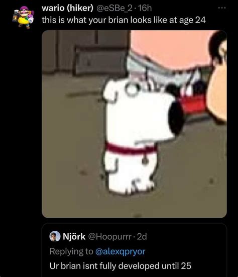 The Latest Memes Memedroid