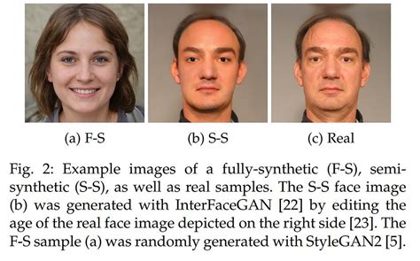 Survey Of Synthetic Data In Human Analysis