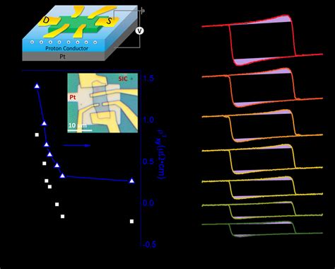 Gate Tuned Anomalous Hall And Topological Hall Effect In Fe028tas2