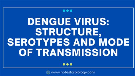 Dengue Virus Structure Serotypes And Mode Of