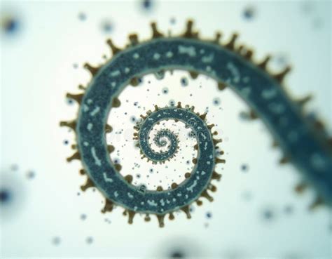 Spherical Spiral Virus Bacteria On The Background Stock Illustration Illustration Of Small