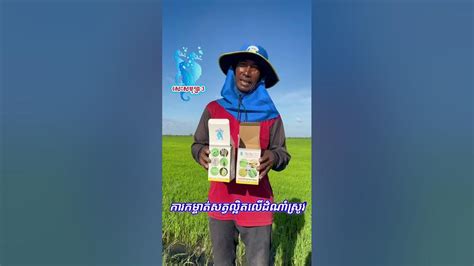 ថ្នាំកម្ចាត់សត្វល្អិត ពពួកដង្កូវ និងមូសផ្លុង វីននឺរ ឡាស៊ី សេះសមុទ្រ៣ យូ ធី ក្រប U T Crop Youtube