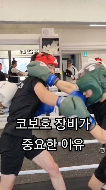 복싱 장비 코보호 헤드기어의 중요성 Youtube