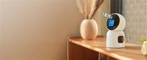 Top Tips To Fix IP Camera Cant Connect To WiFi Zosi Blog
