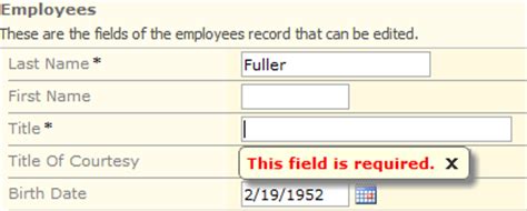 Code On Time Data Controllers Fields Allow Nulls