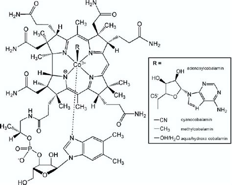 Cobalamin Structure