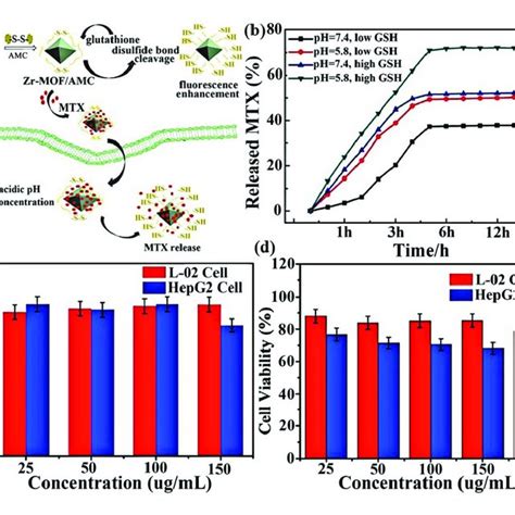 A The Zr Mofamcmtx Nanocarrier And B Its Mtx Release Cell Download Scientific Diagram