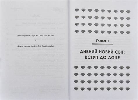 Книга Блискучий Agile купити за 590 грн в Morebooks