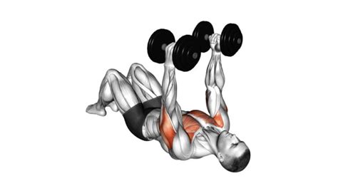 10 Push Exercises With Dumbbells To Build Muscle And Strength Workout Guru