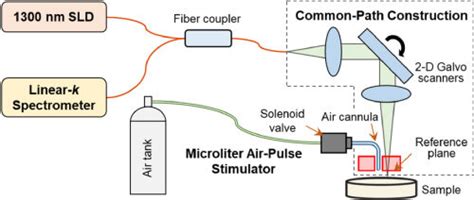 The Optical Coherence Elastography Oce System Comprises A Microliter Download Scientific