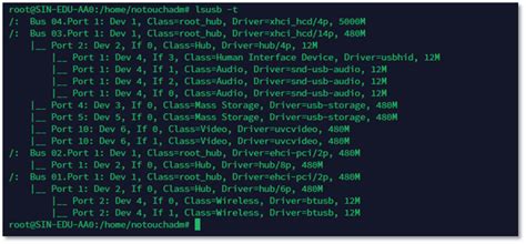 Usb Redirection With The Citrix Workspace App For Linux