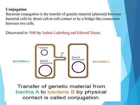 Recombination In Bacteria Pptx