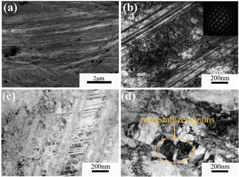 Microstructural Characterizations A Sem Image And B Tem