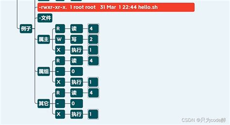 呕心整理，项目中常用的linux命令。linux发布项目常用命令 Csdn博客