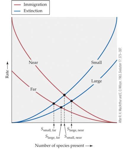 Qualitative Exam Flashcards Quizlet