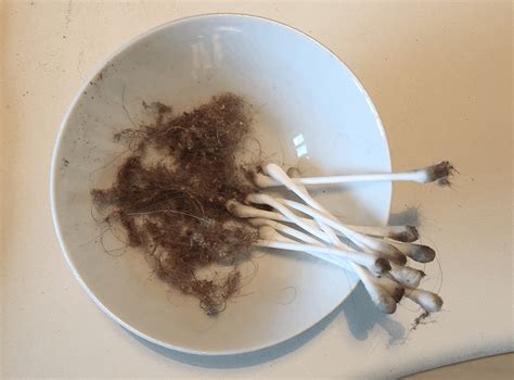 Clean Clickety Clack Keyboard Jeremy Cherfas Clean Clickety Clack Keyboard Jeremy Cherfas