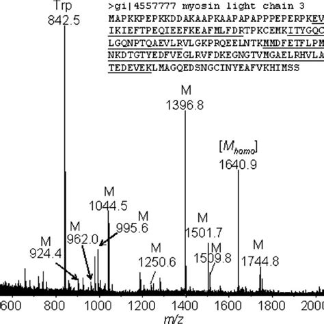 Protein Sequence Coverage Reported By Four Software Programs Sequest