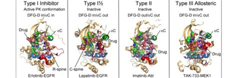 Breaking New Ground In Kinase Inhibition Exploring The Type Ii Kinase
