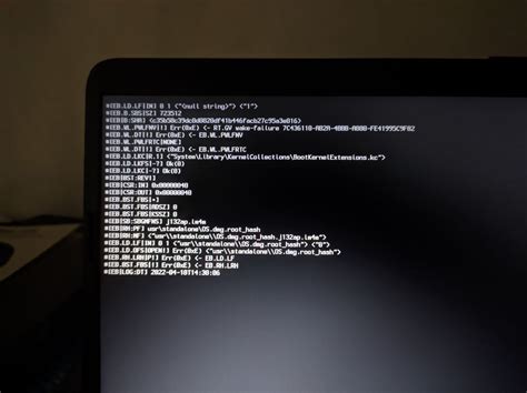 Help Opencore Is Not Booting Need Help Rhackintosh