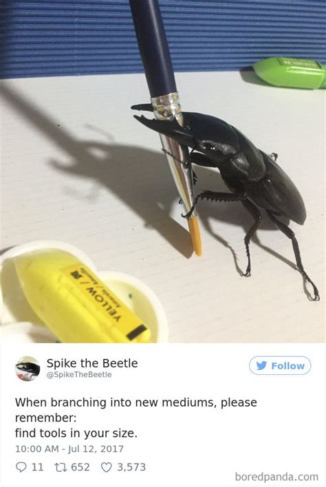 Woman Has Stag Beetle As A Pet And Her Tweets Will Make Your Day