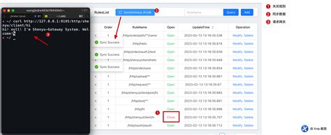 [bug] plugin rule update did not take effect in time · issue 4378