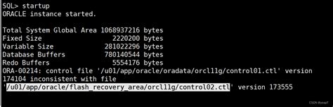 Oracle报错集锦 Csdn博客