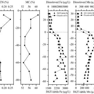Toc Tn Mc And Vertical Profiles Of Fe Mn S Ii Flux Download