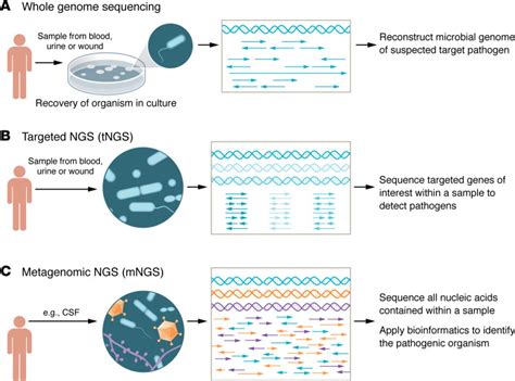 Status Check Next Generation Sequencing For Infectious Disease Diagnostics PMC